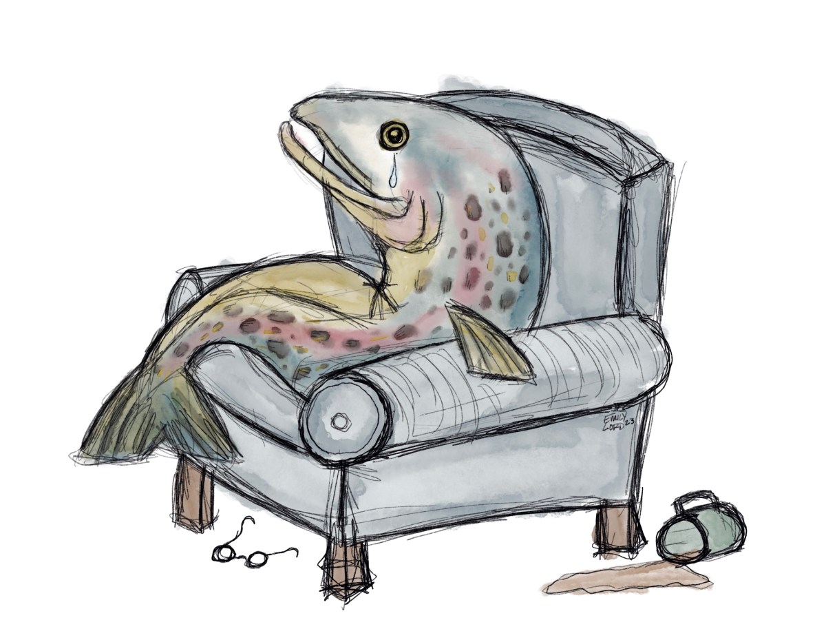 Ponderings – the water and the gills